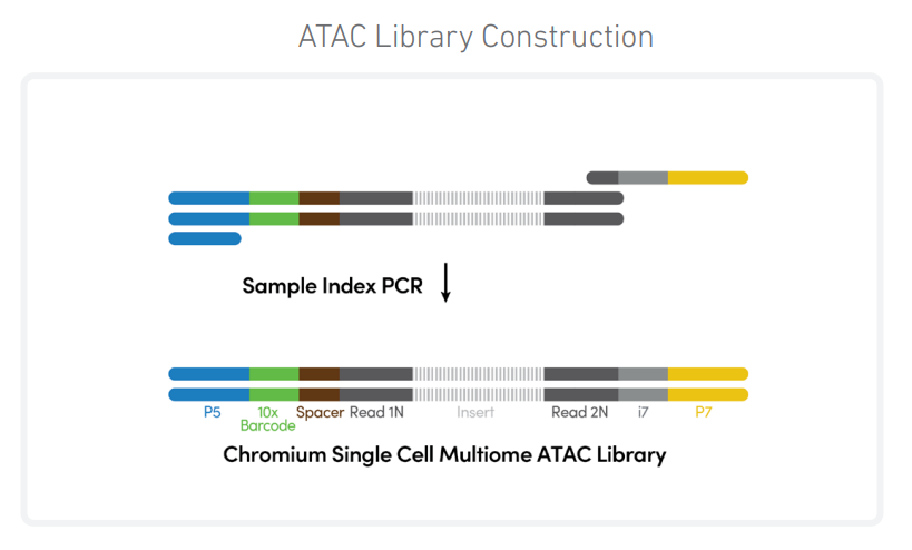Library Prep – Northwest Genomics Center